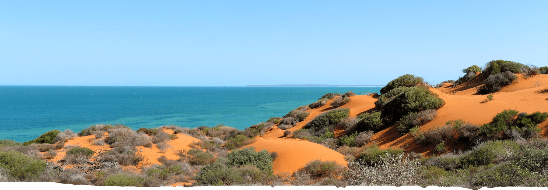 Culture & History - Shark Bay