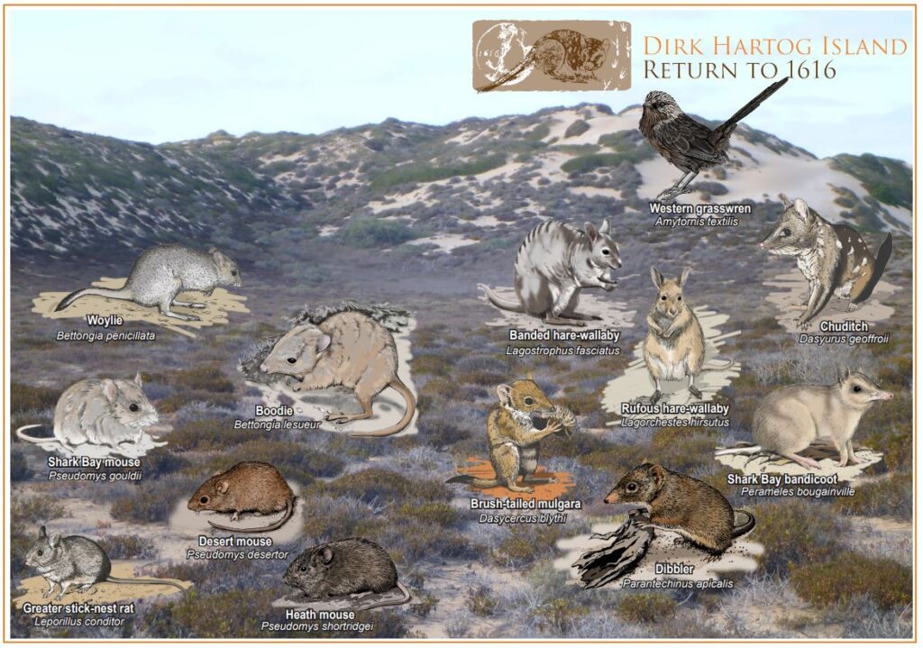 Education - Shark Bay