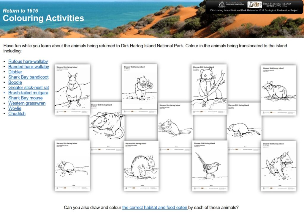 Fun Stuff - Shark Bay